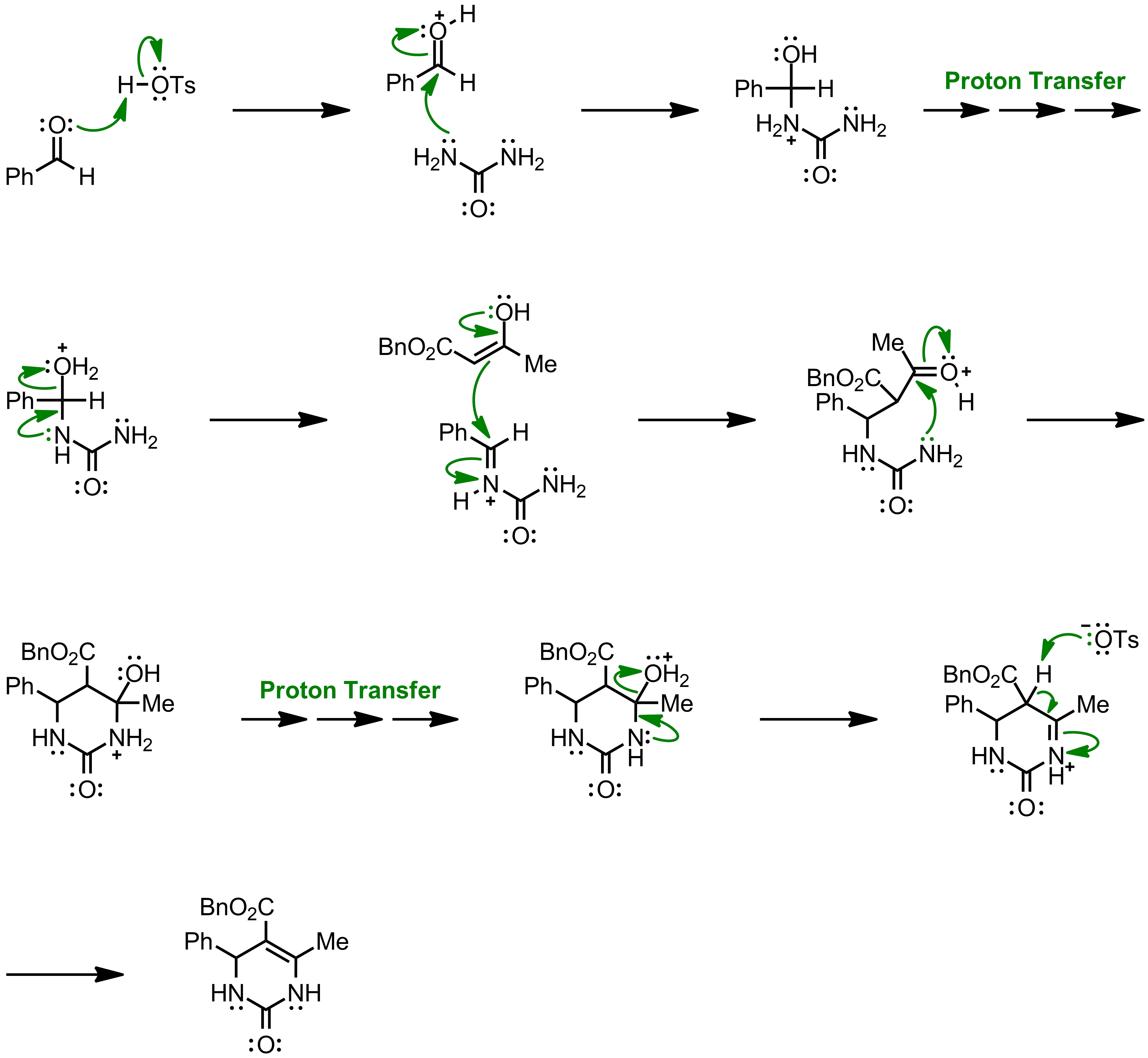 Schema of the Biginelli Reaction