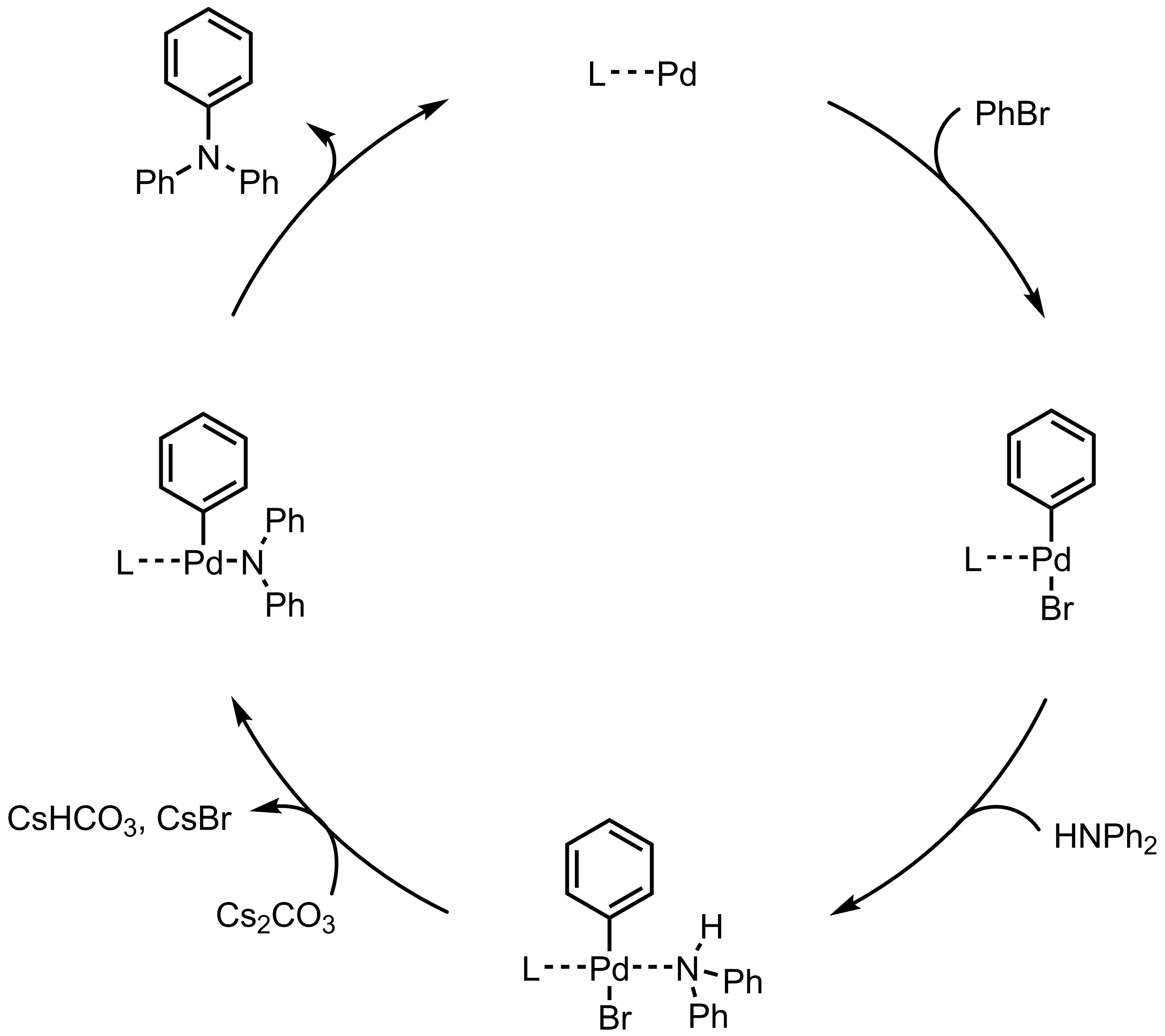 Schema of the Buchwald-Hartwig Coupling