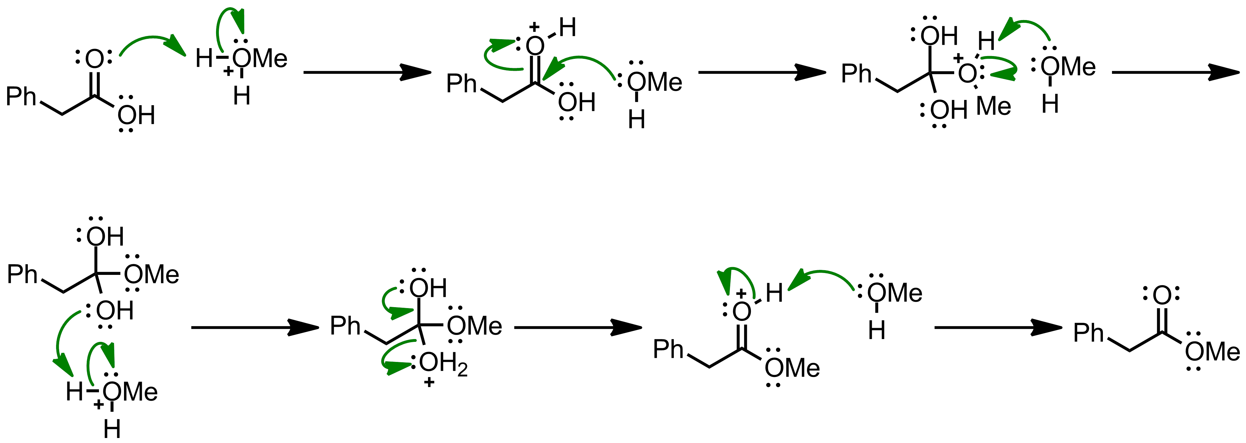 Schema of the Fischer-Speier Esterification