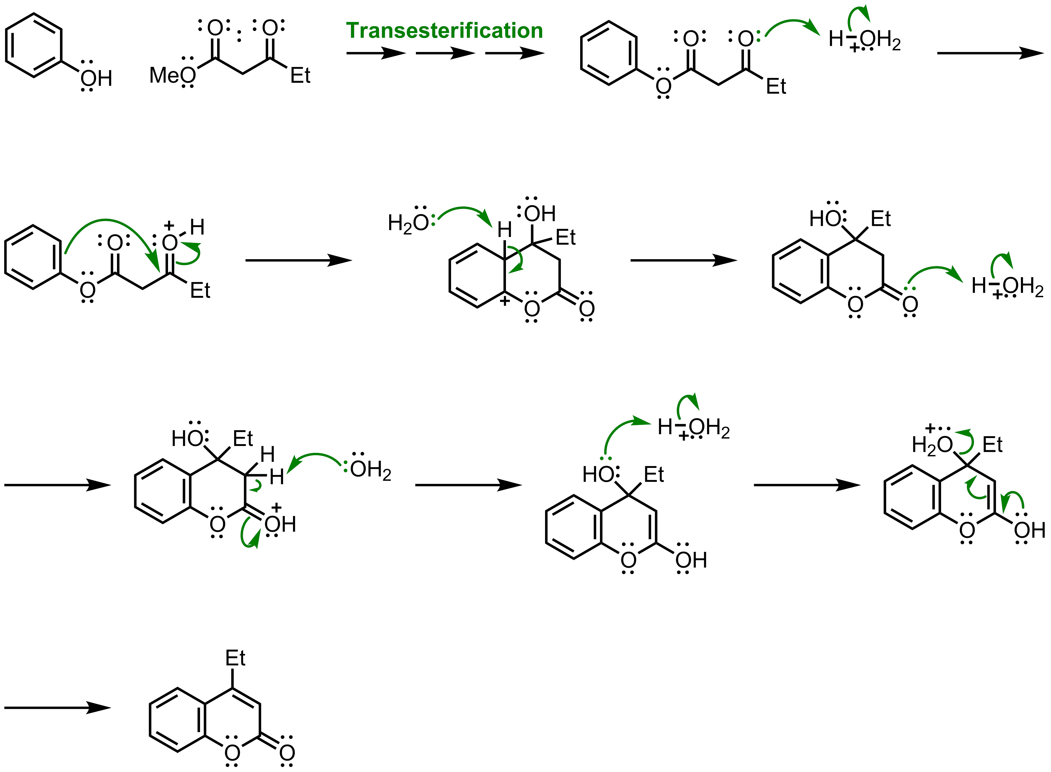 Schema of the Pechmann Condensation