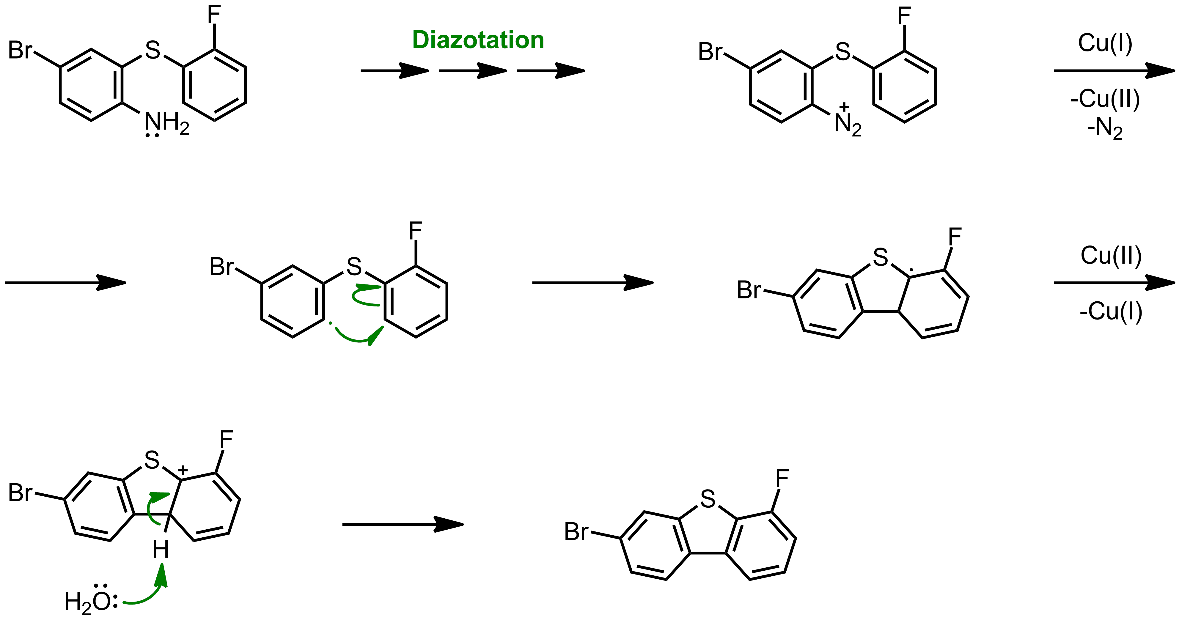 Schema of the Pschorr Reaction
