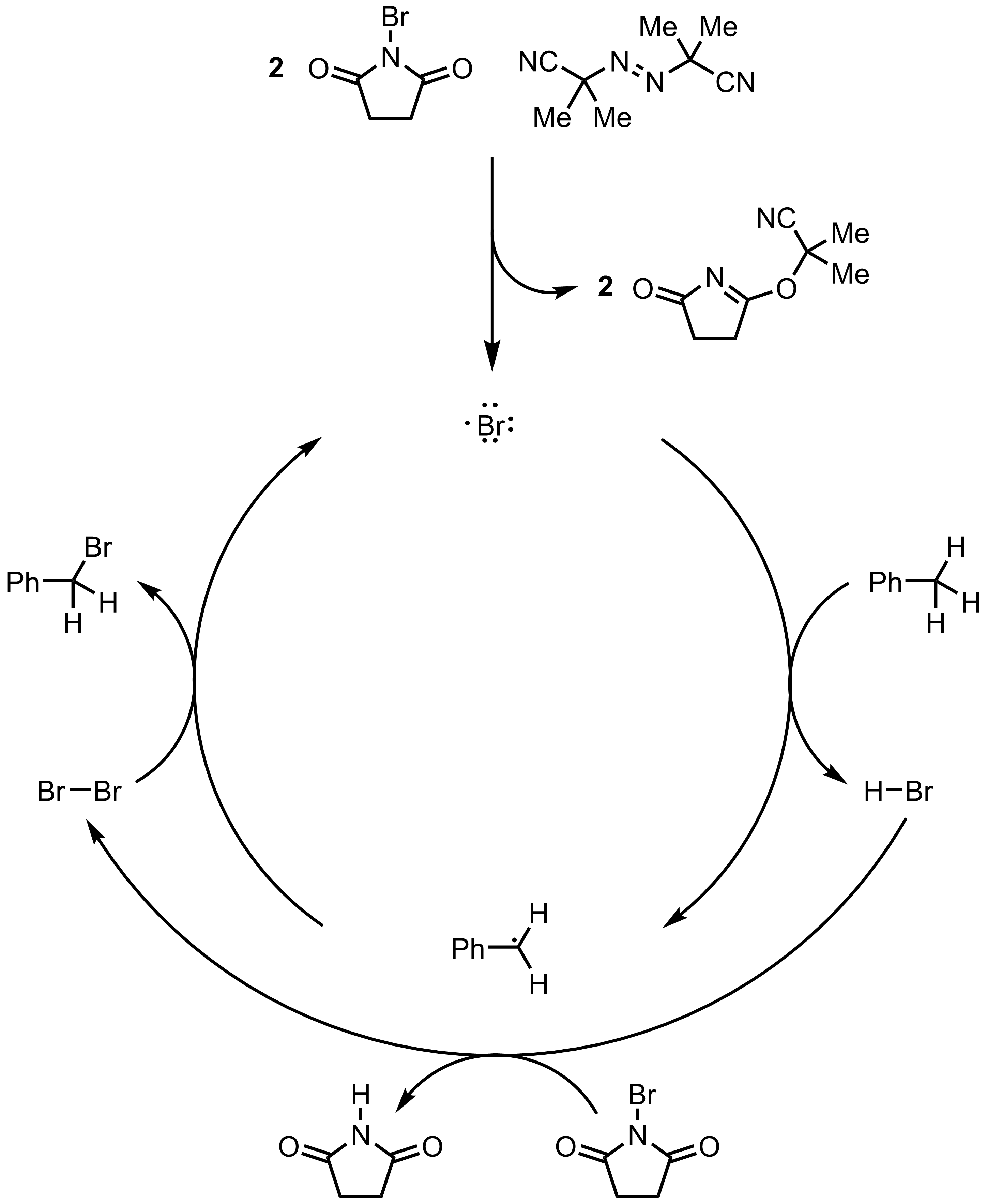 Schema of the Wohl-Ziegler Reaction