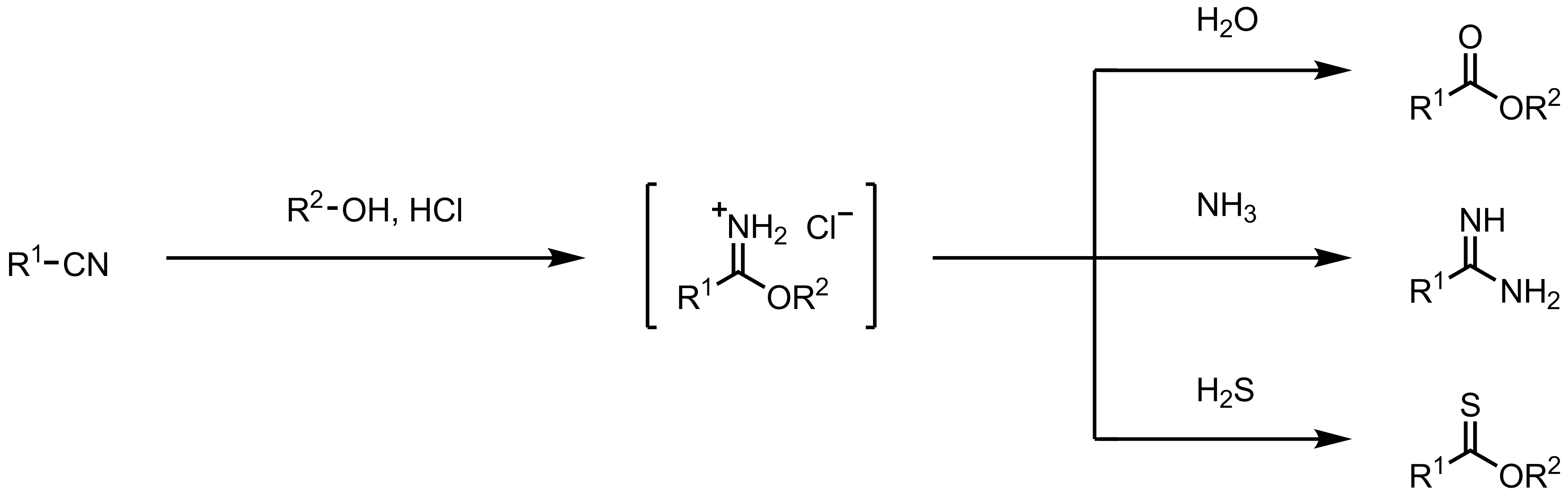 Schema of the Pinner Reaction